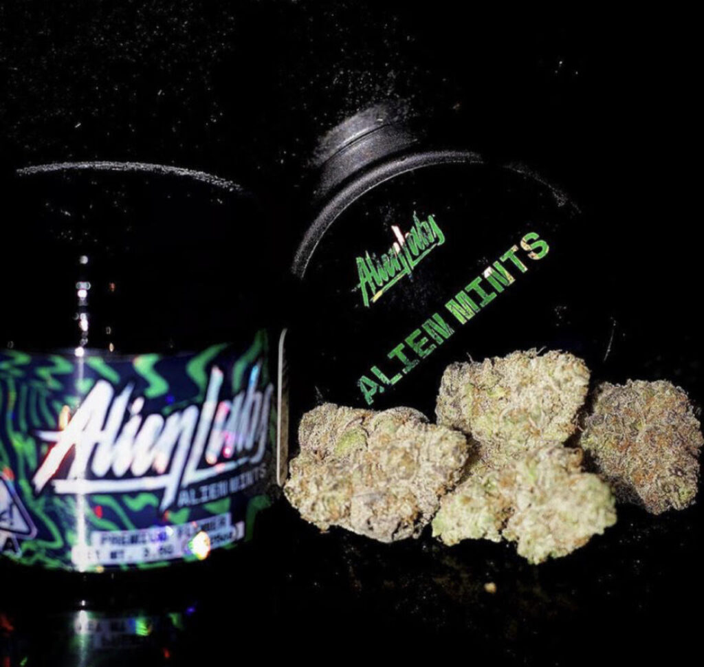 Alien Labs Alien Mints - Scottie Strains