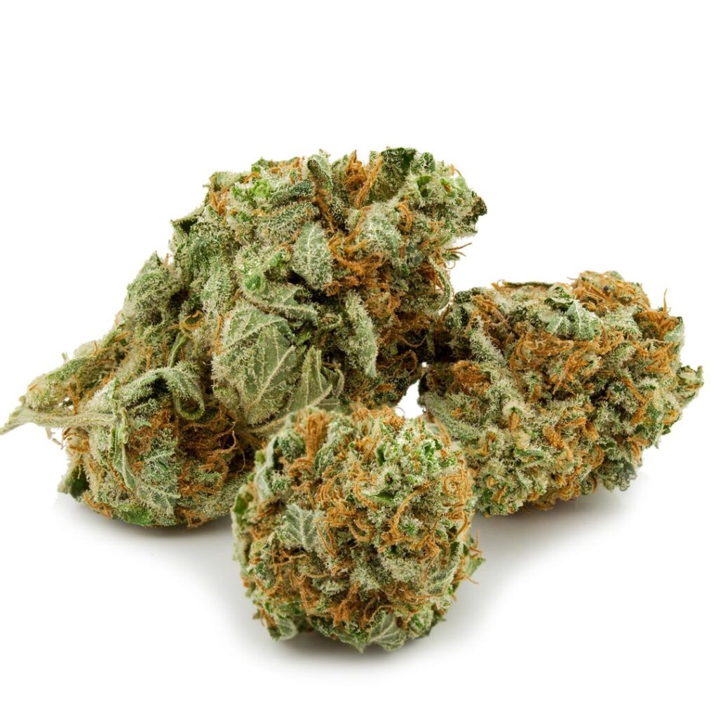 Girl Scout Cookies (GSC) - Scottie Strains