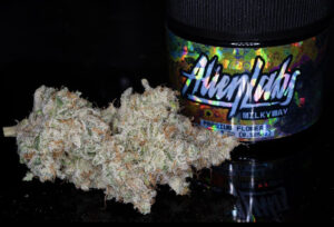 Alien Labs Milky Way - Scottie Strains