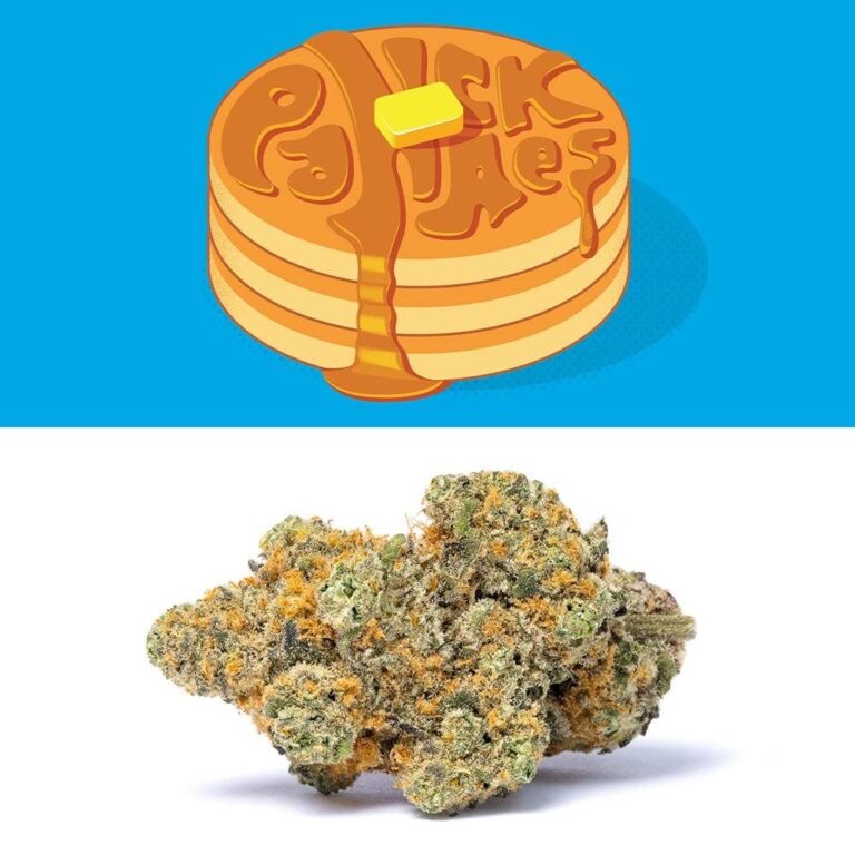 Pancake Strain - Scottie Strains