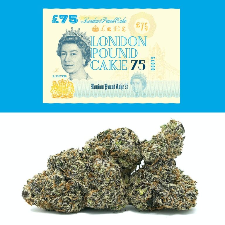London Pound Cake Strain - Scottie Strains